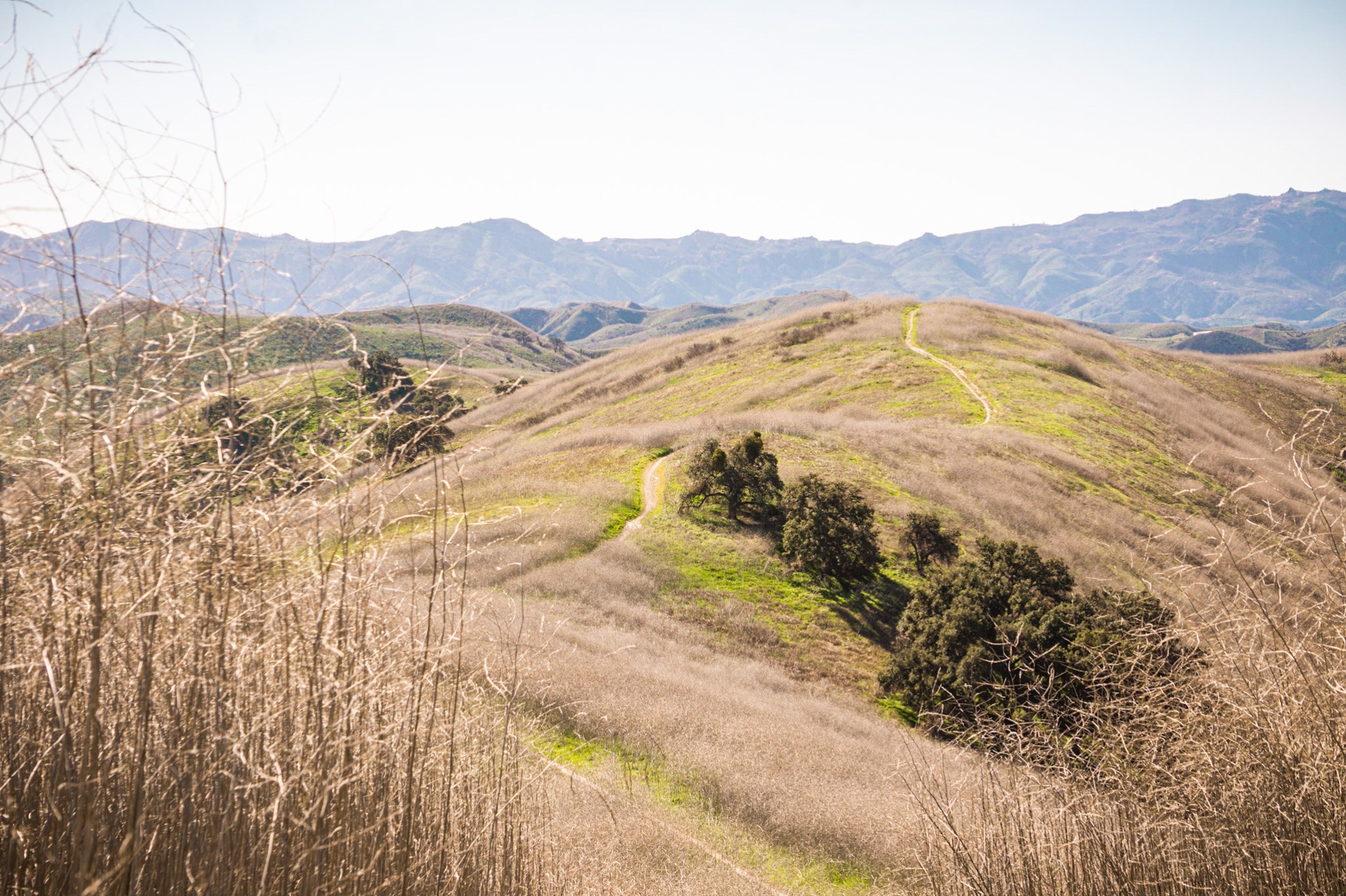 Modelo Trail to Cheeseboro Canyon – The Render Show